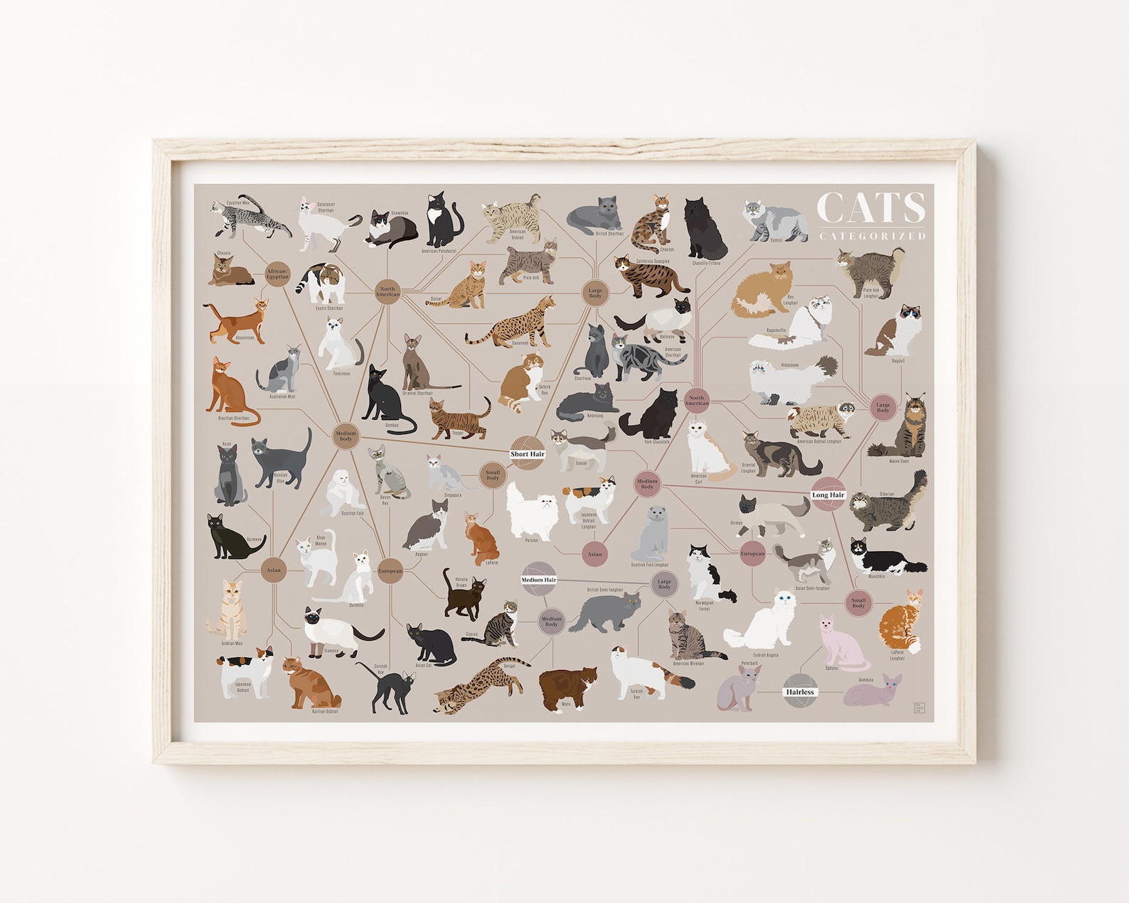 Cat Breeds Print Poster for Home Gift for Pet & Animal - Etsy