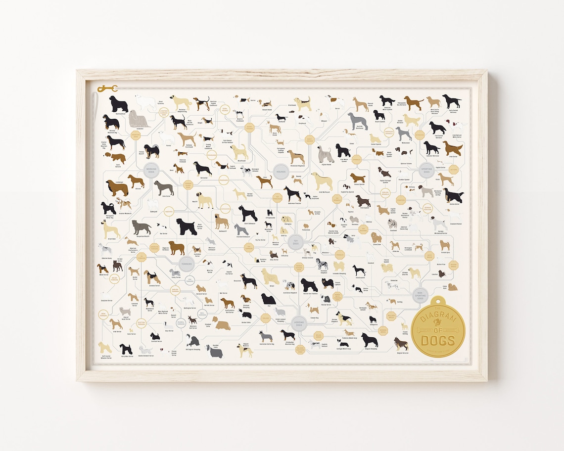 Dog Breeds Print Poster for Home Gift for Pet & Animal - Etsy