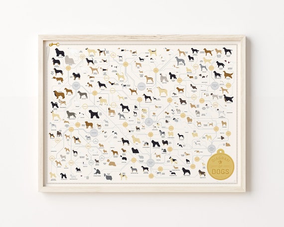 Dog Breeds Print Poster for Home Gift for Pet & Animal - Etsy