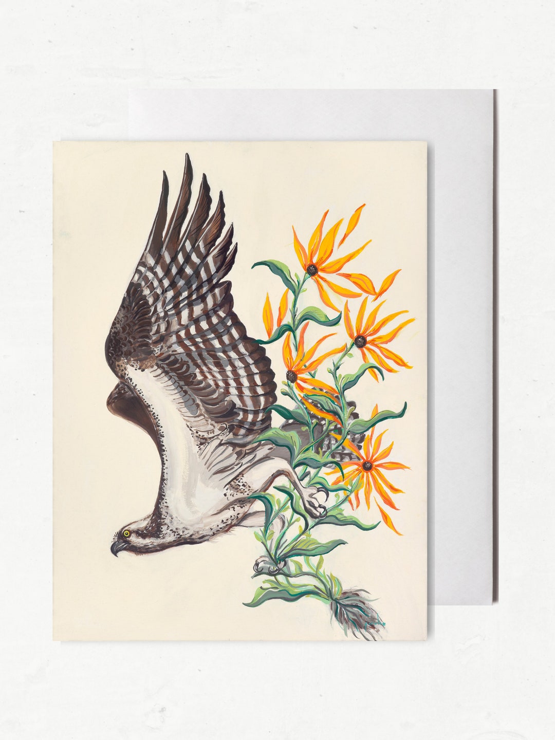 Osprey Notecard, Botanical Bird Card, Illustrated Watercolor Blank Card ...