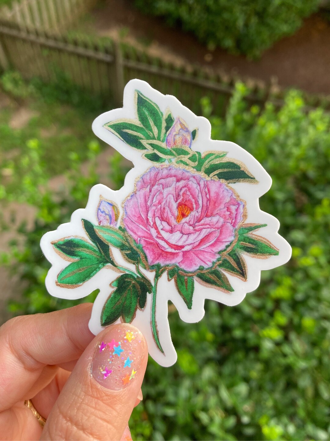 Peony Vinyl Sticker - Light Pink Flower - Etsy