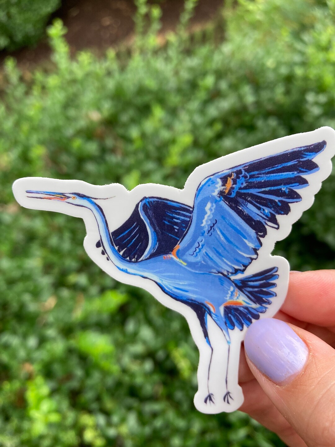 Great Blue Heron Vinyl Sticker - Etsy