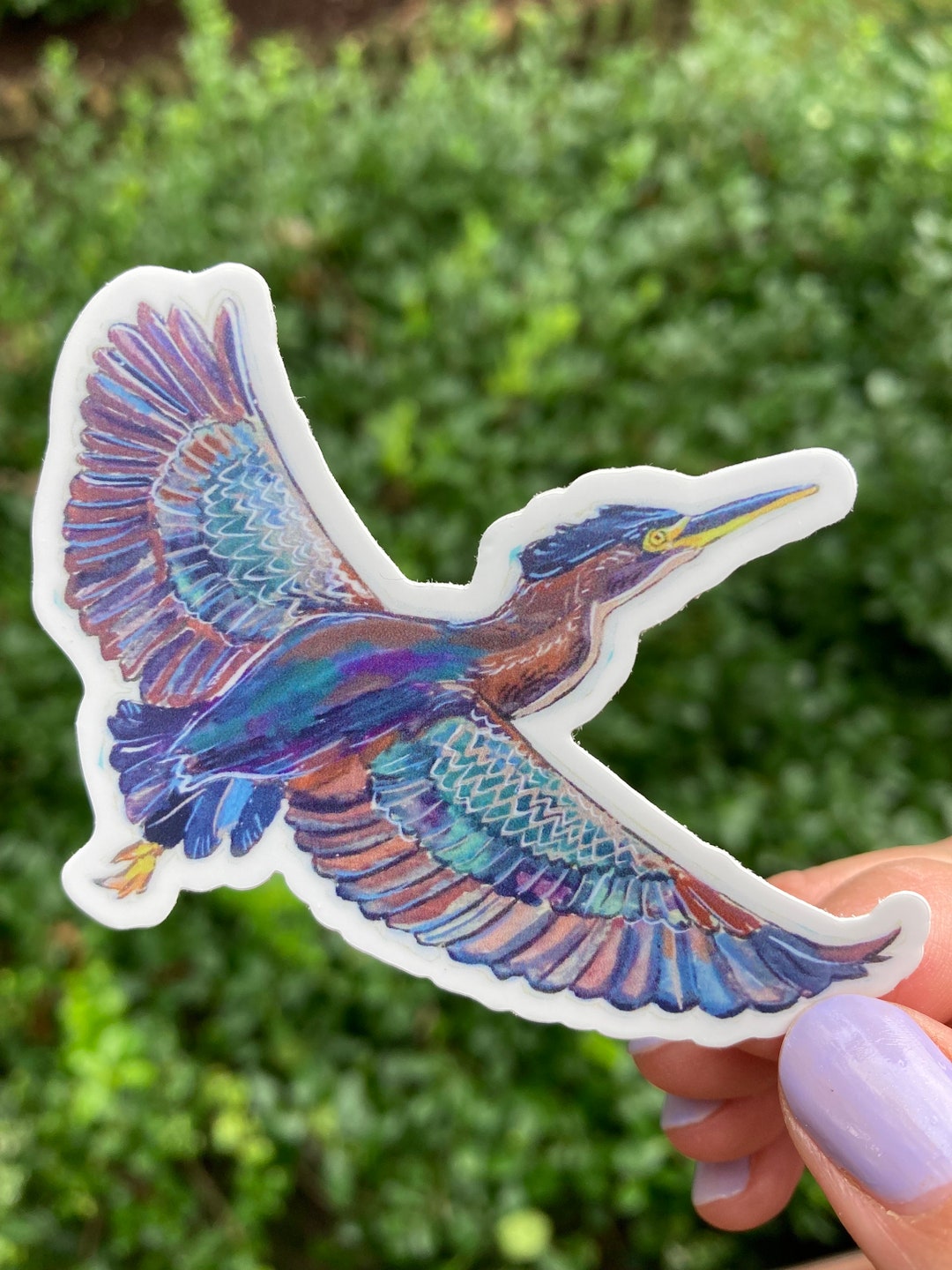 Green Heron Vinyl Sticker - Etsy