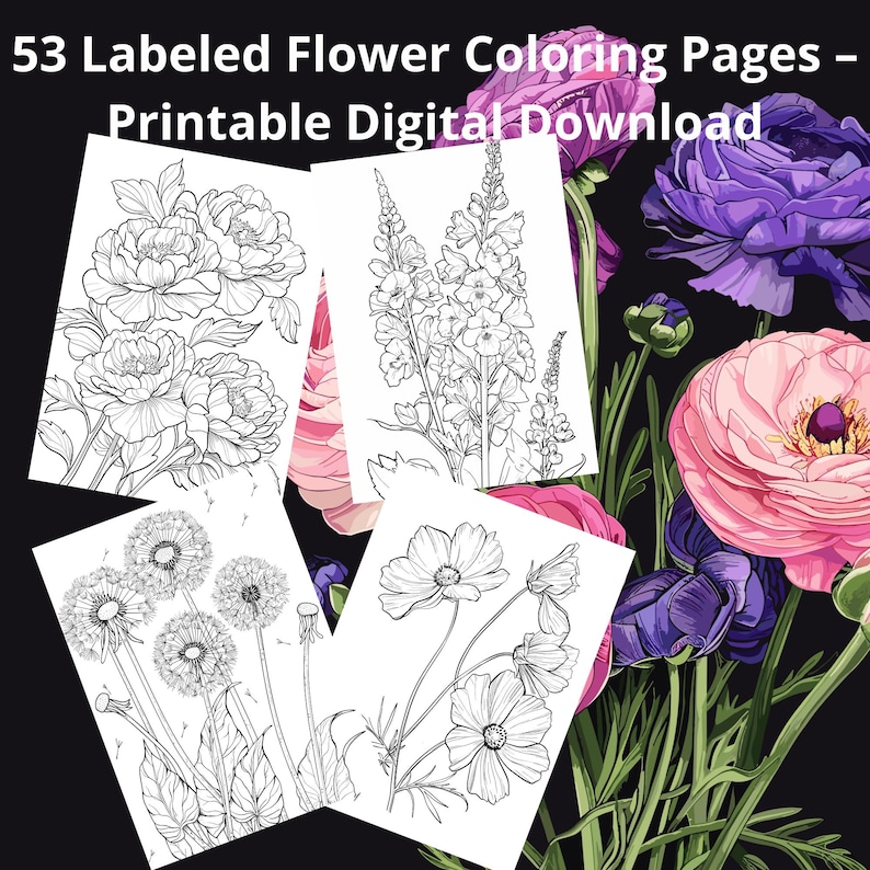 Flower Coloring Book for Adults – 53 Printable Floral Pages ...
