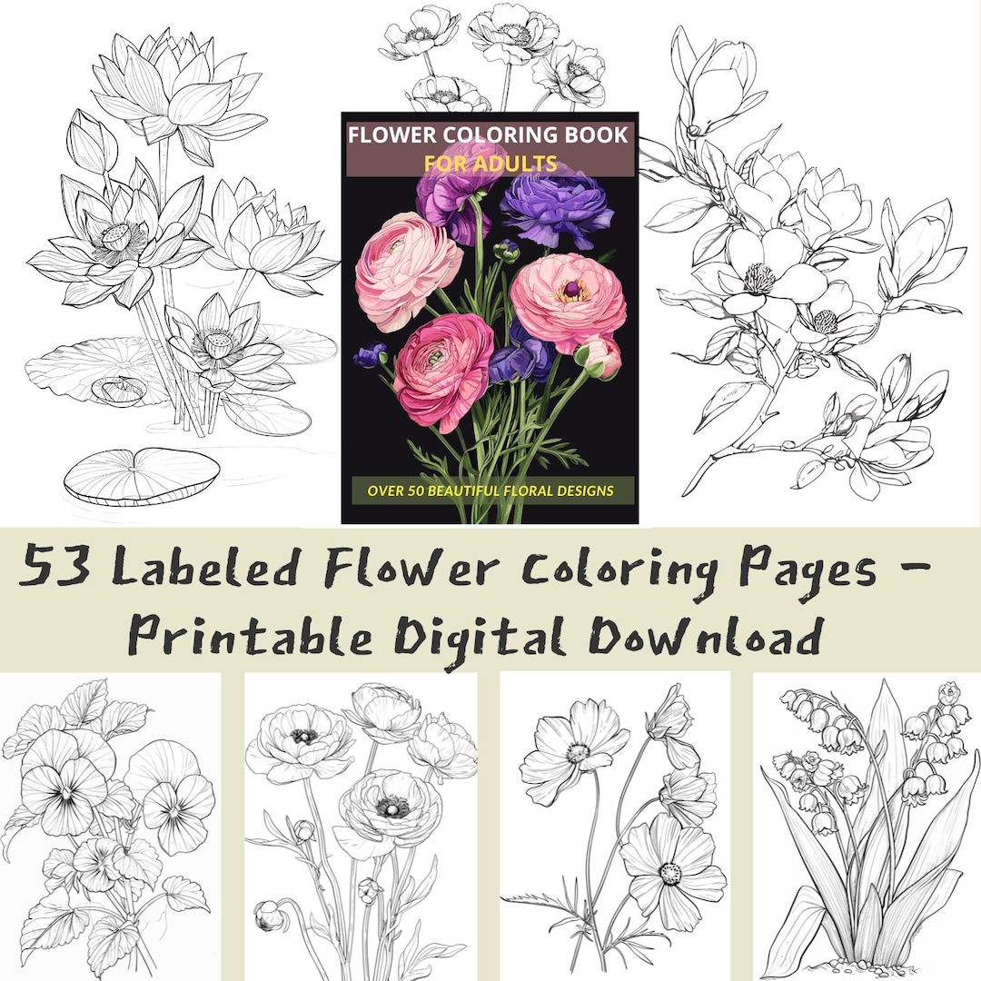 Flower Coloring Book for Adults – 53 Printable Floral Pages ...