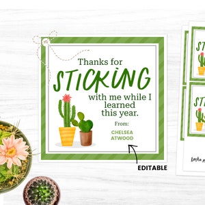 Cactus Teacher Tag, Teacher Appreciation Printable Tag, Teacher ...