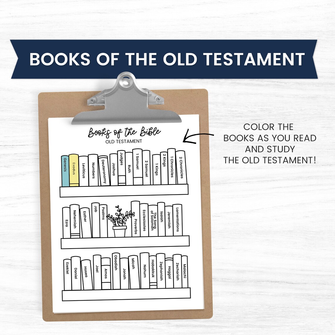 Books of the Old Testament Books of the Bible Coloring Page - Etsy