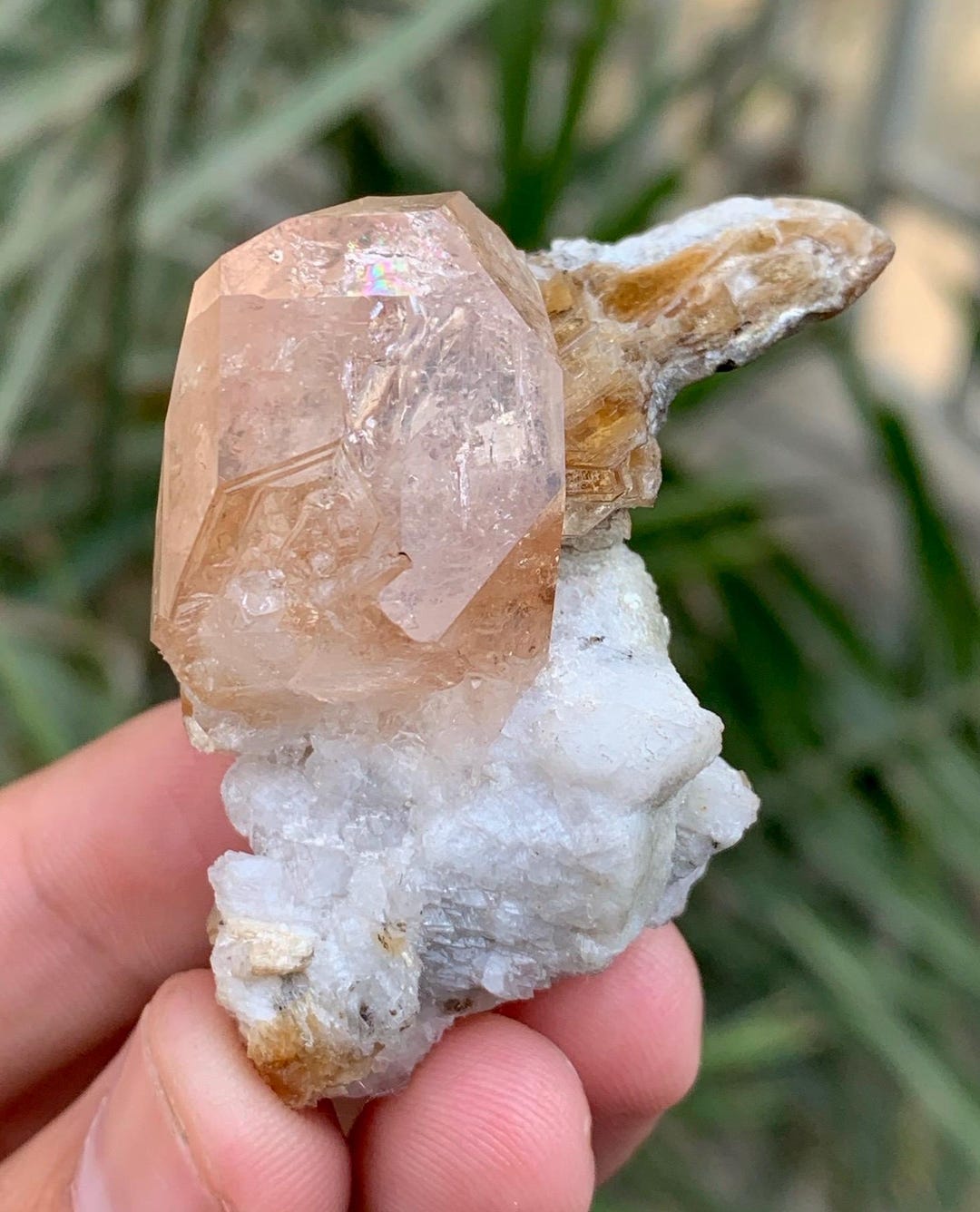 Natural Gold Transparent Topaz Crystal With Mica Combined Specimen on ...