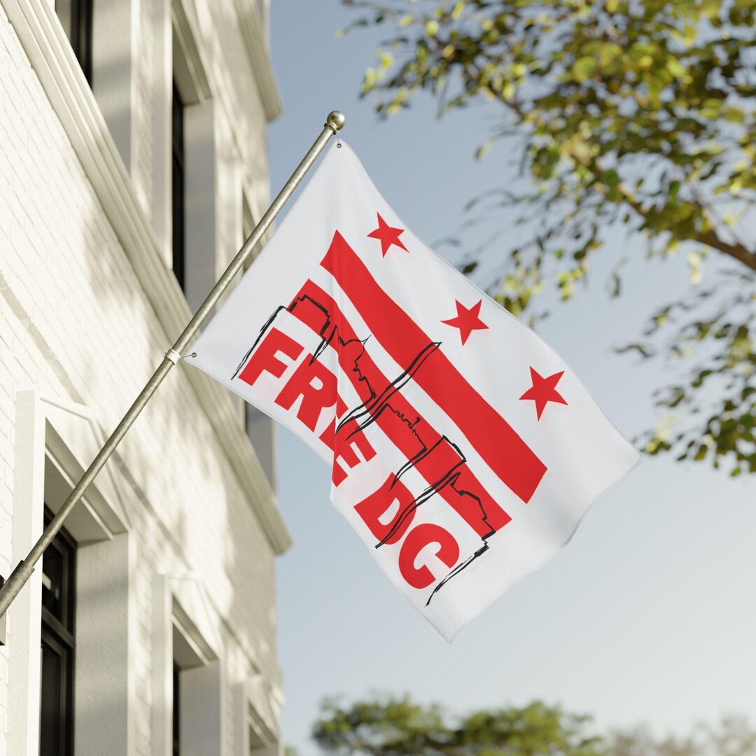 Free DC Flags Double-sided Protest Flag - Etsy