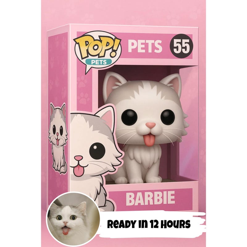 Custom Funko Pop - Etsy