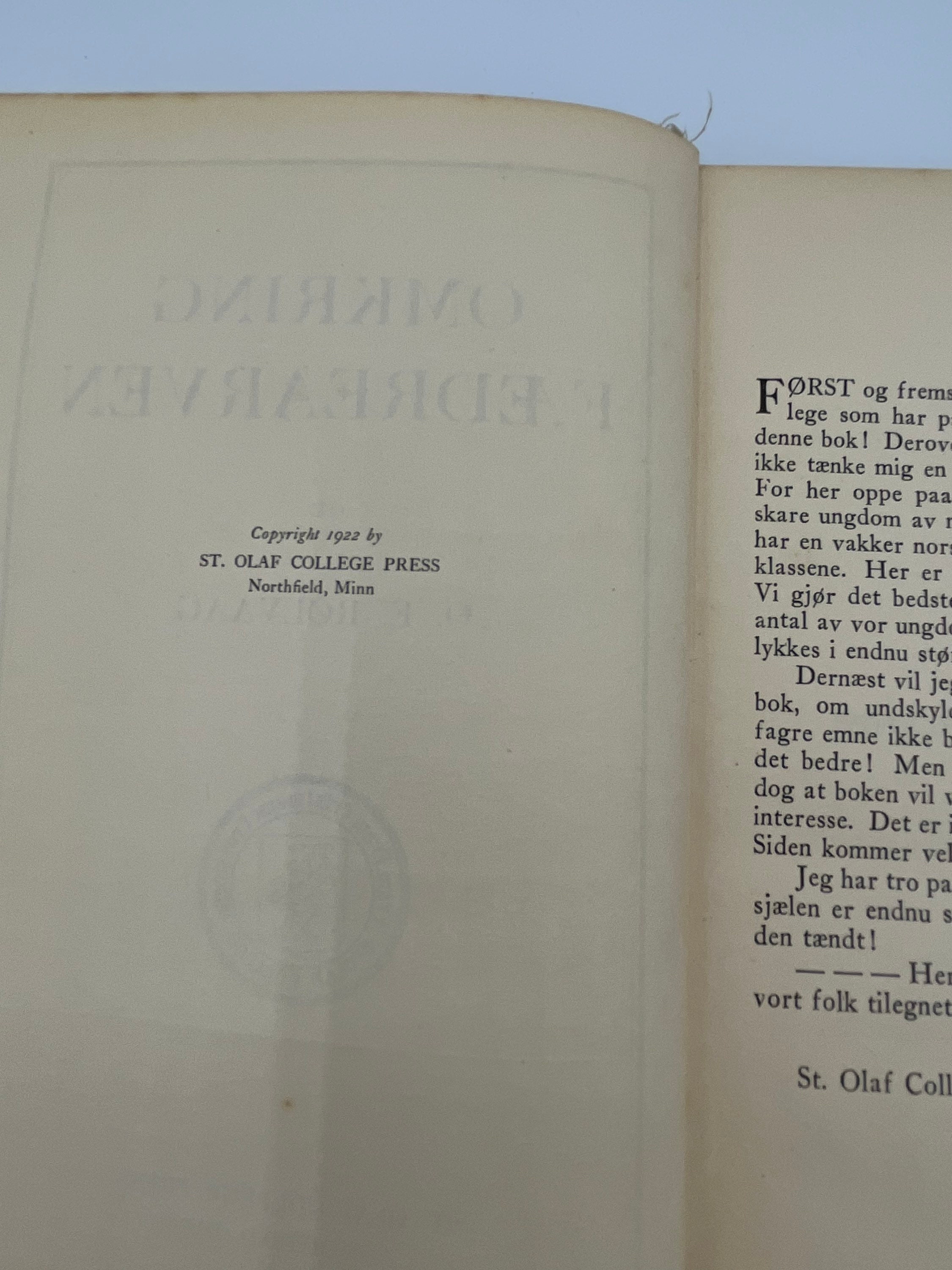 Vintage Norwegian Book About the Paternal Heritage 1922 by O.E. Rolvaag ...