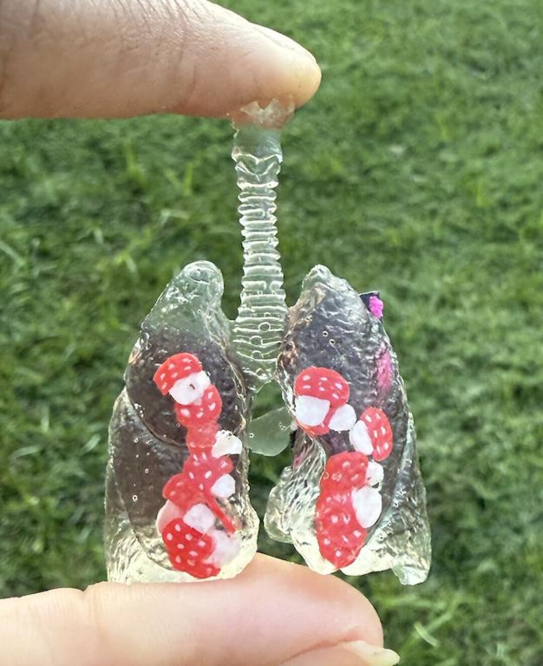 Fun Anatomical Resin Lung / Pulmonology Magnet, Cute for Medical ...