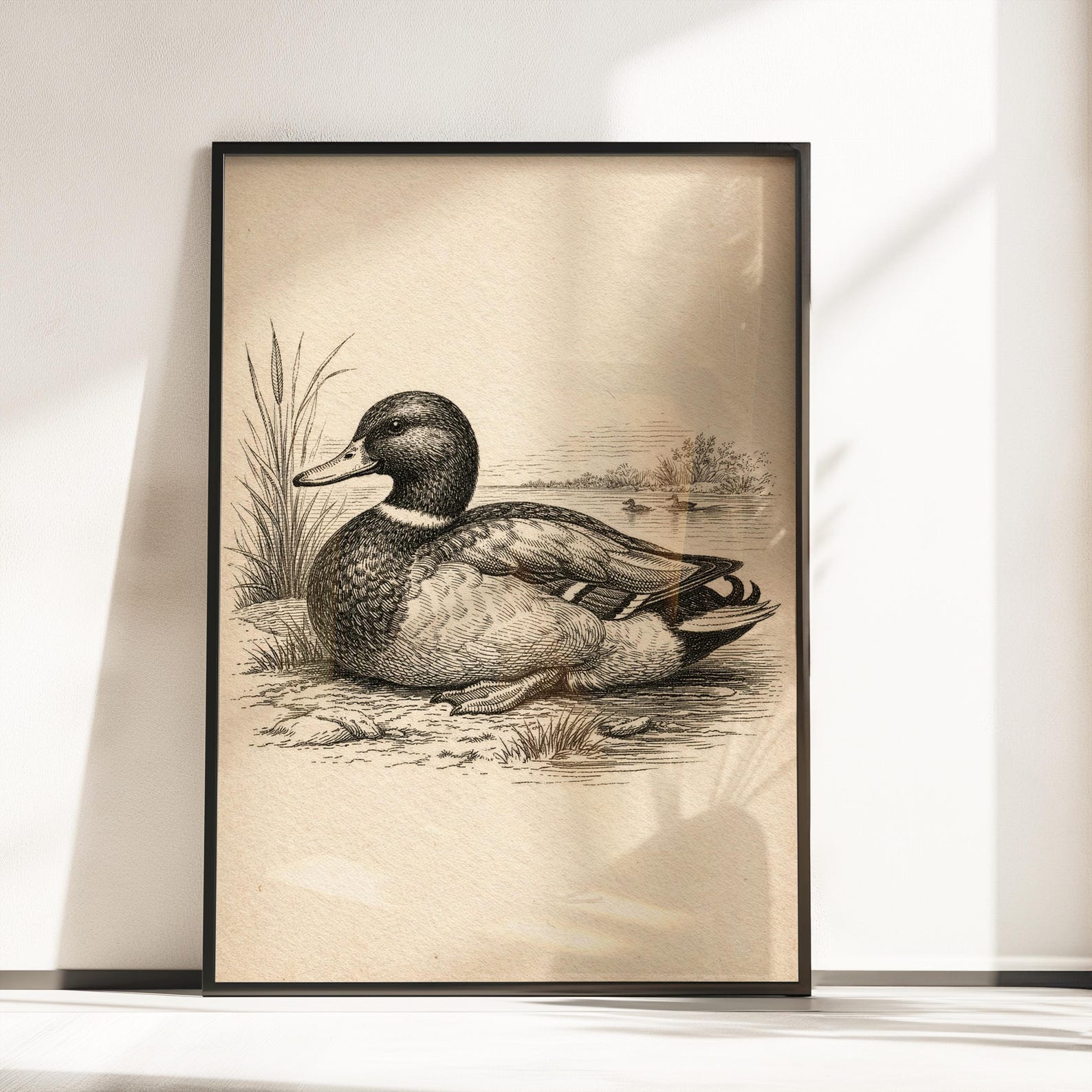 Mallard Duck Hunting Wall Art, Vintage Waterfowl Print for Rustic Cabin ...