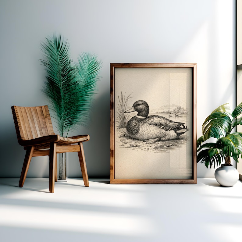 Mallard Duck Hunting Wall Art, Vintage Waterfowl Print for Rustic Cabin ...