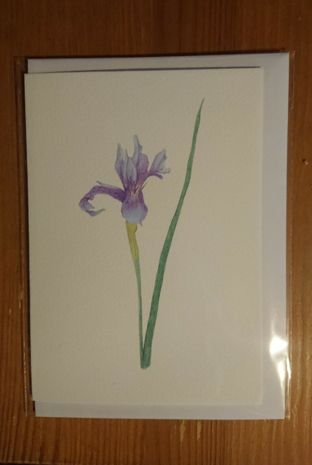 Blue Iris Card or Giclee Print, Botanical Art, Gift Box - Etsy