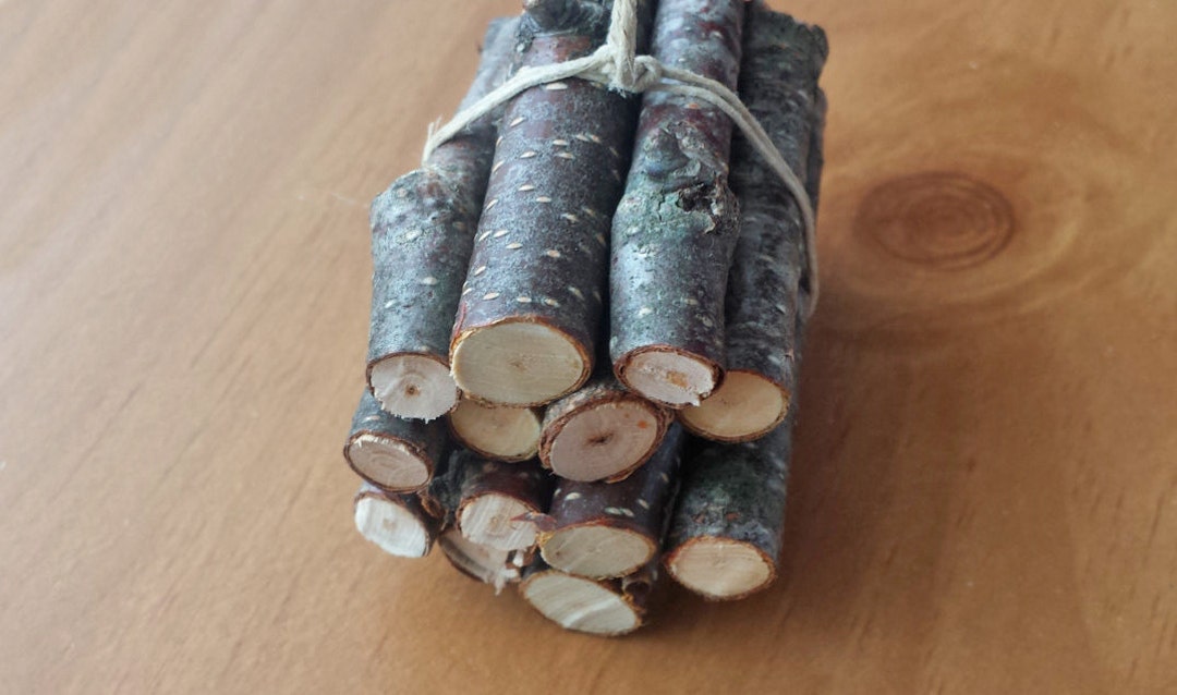 Mini Log Bundle, Small Hand Cut Real White Birch Logs for Crafts, Doll ...