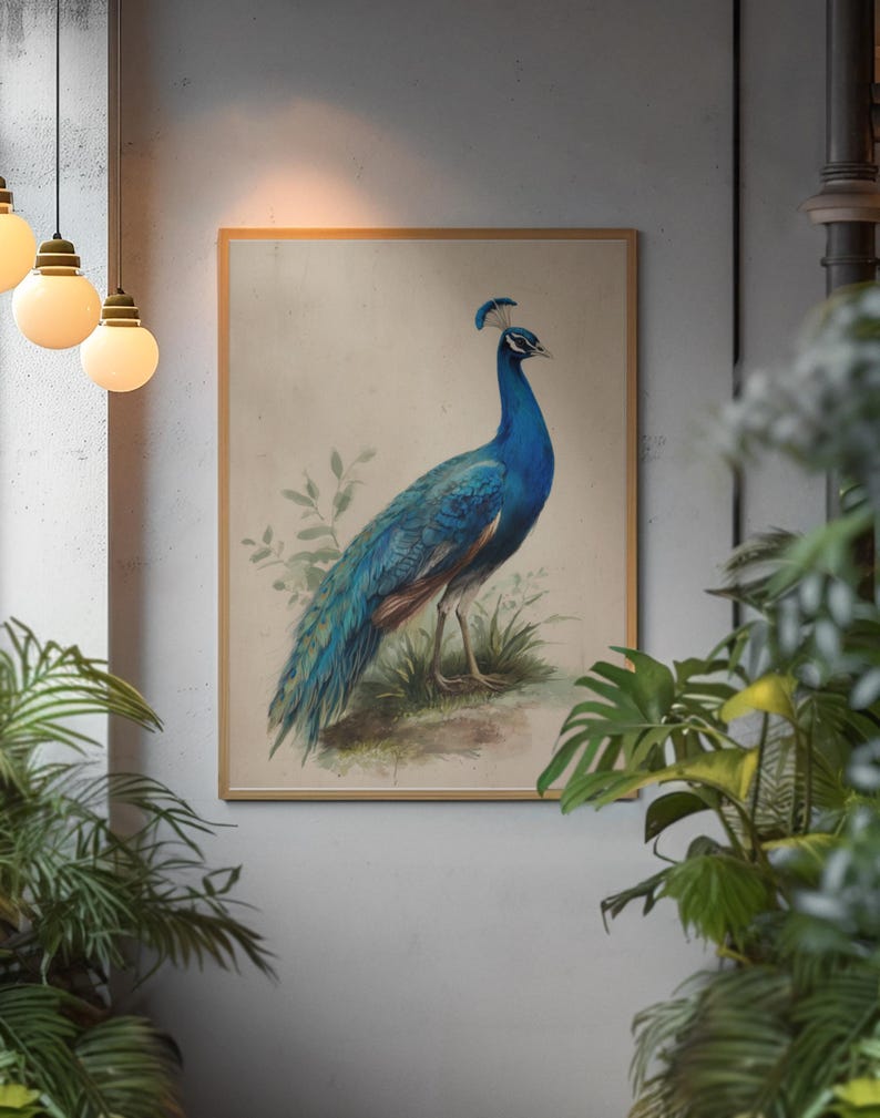 Peacock Watercolor Art Print - Cottagecore Bird Wall Art, Vintage ...