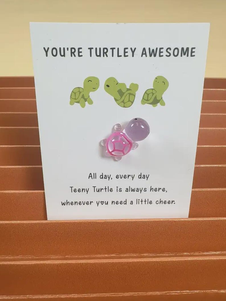 Cute Turtle Pocket Hug, Stress Gift, Pocket Hug, Gift for Kids, Gift ...