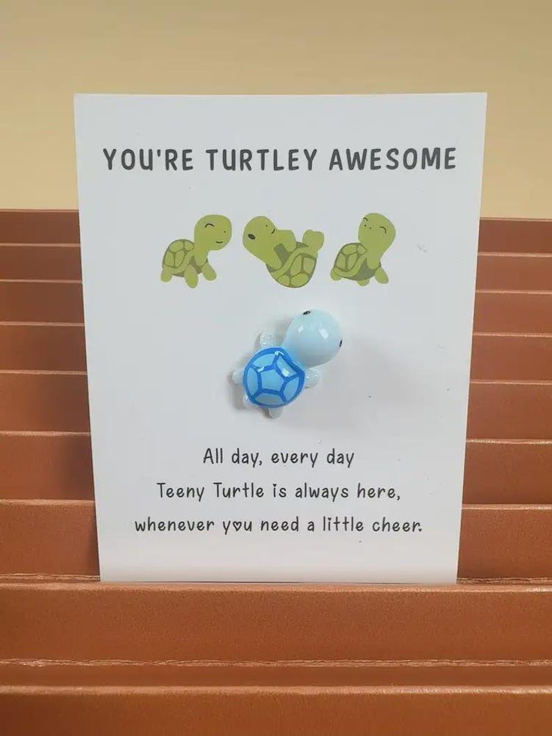 Cute Turtle Pocket Hug, Stress Gift, Pocket Hug, Gift for Kids, Gift ...