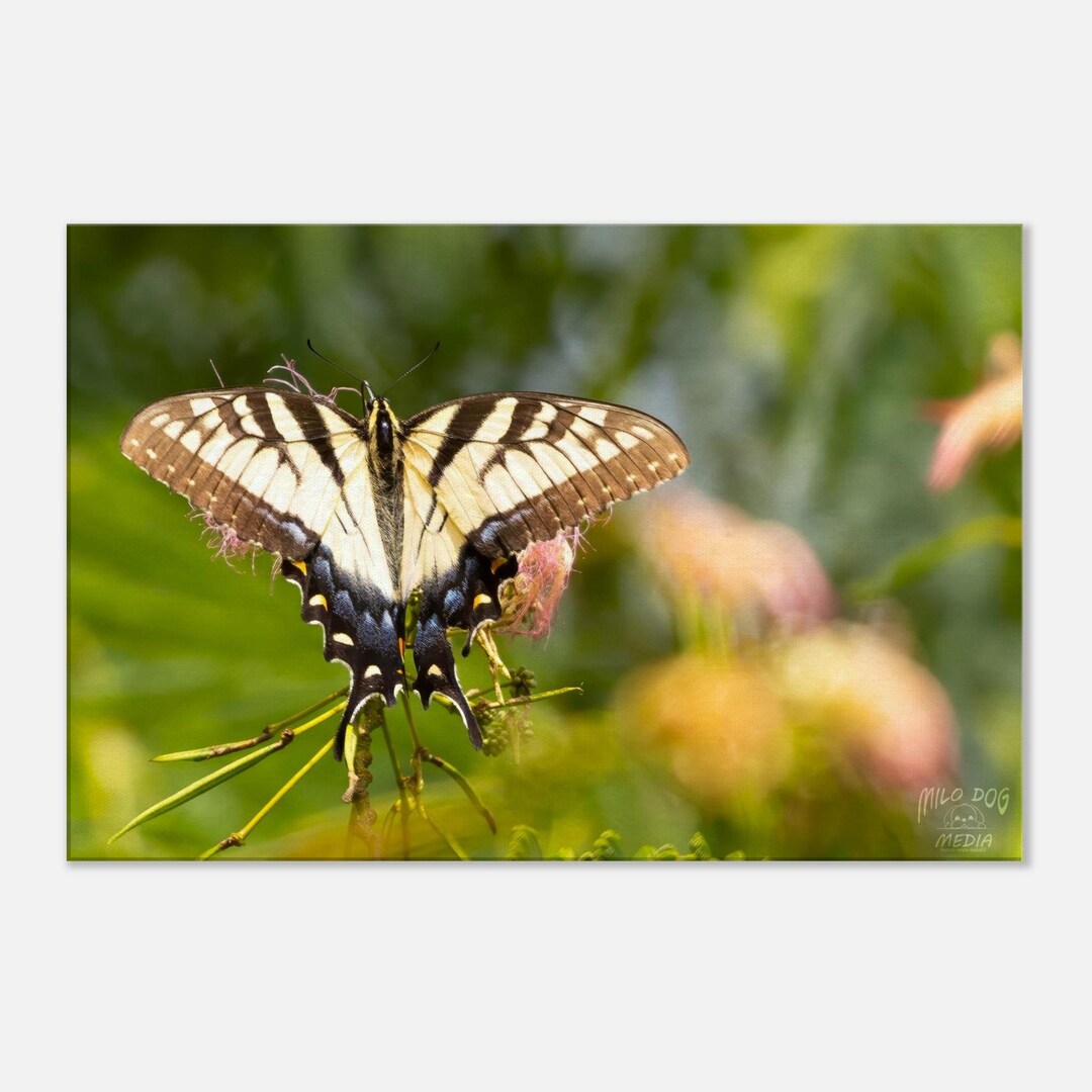 Eastern Tiger Swallowtail Canvas Print: Nature Home Decor - Etsy
