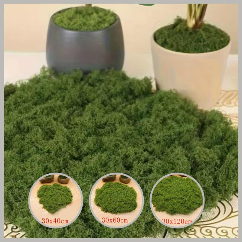 Preserved Sheet Moss for Crafts - Etsy Australia