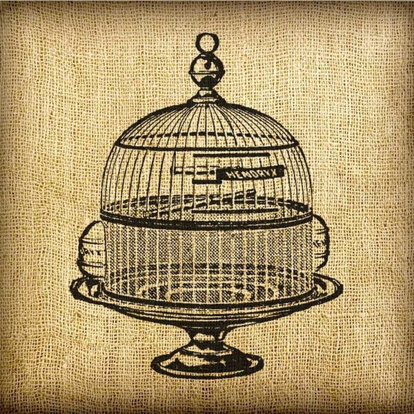 Bird Cage Print - Etsy