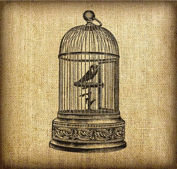 Vintage Bird Cage Art