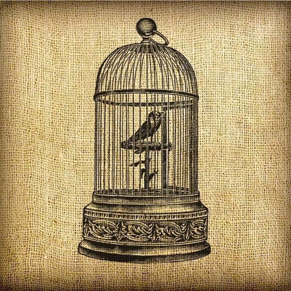Bird Cage Print - Etsy