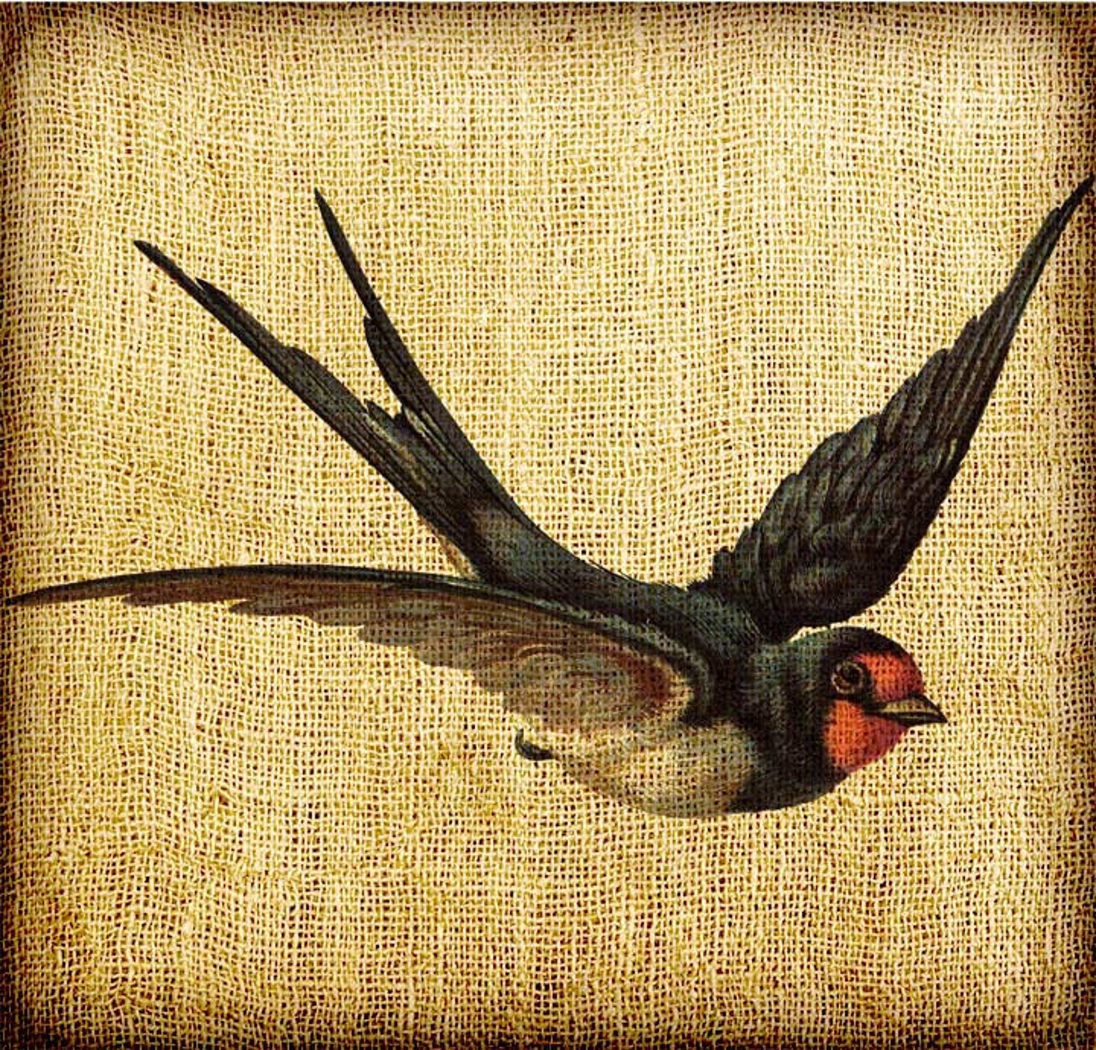 Barn Swallow Flying Vintage Digital Image Transfer Download - Etsy