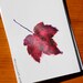 NH Red Maple LEAF ART Hand Painted Note Card Unique Stationary Note ...