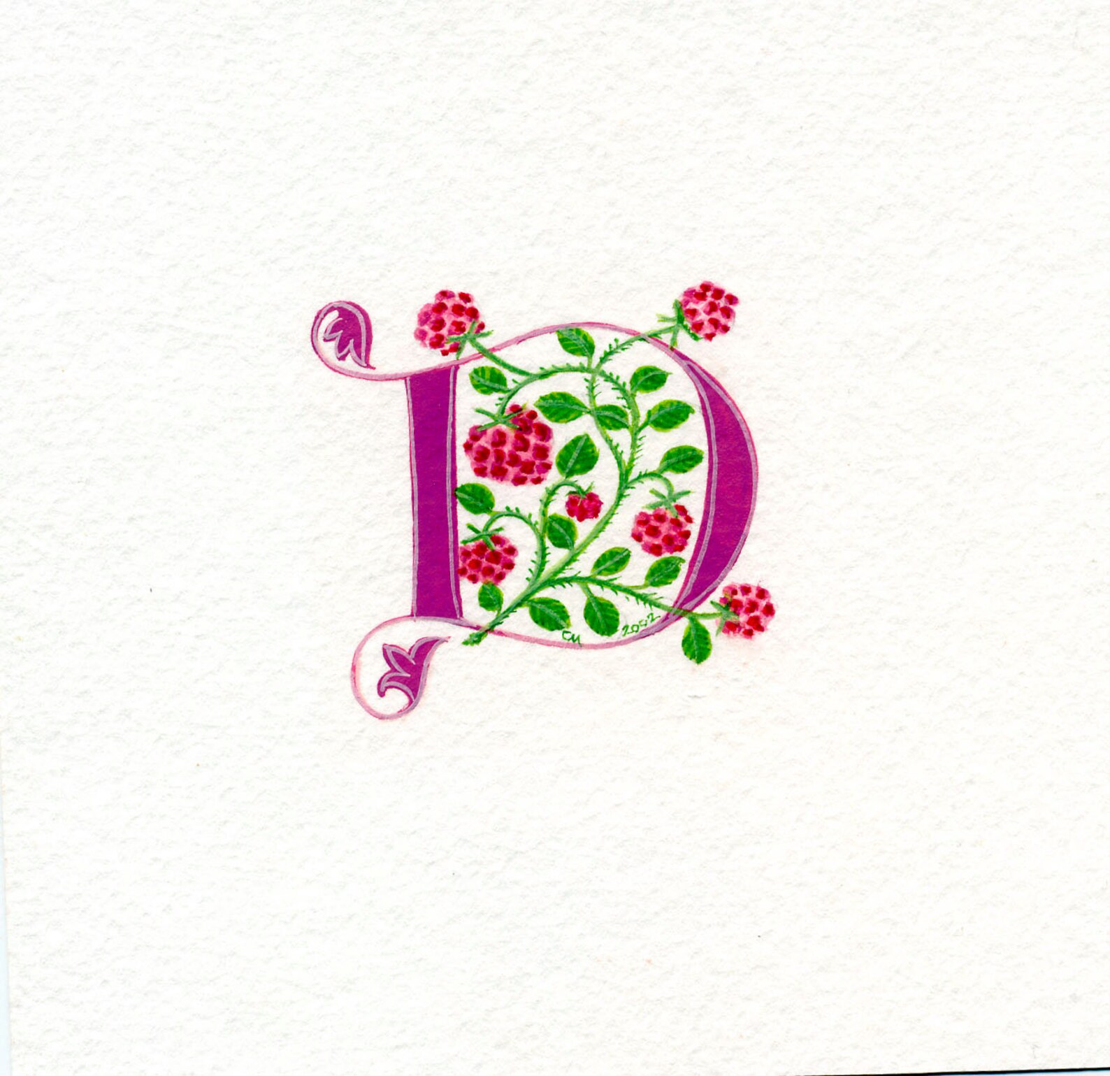 Initial Letter 'D' in Pink With Raspberries Custom Initial Handmade ...