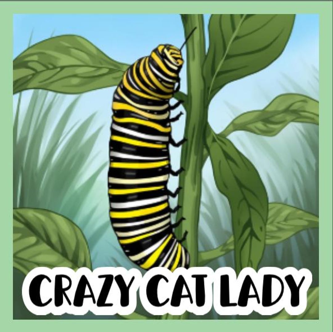 CAR DECAL "crazy Cat Lady" - Etsy