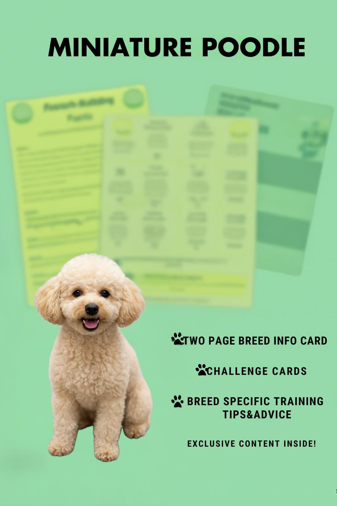 Miniature Poodle Breedfit Bundle: Training, Enrichment, and Behaviour ...