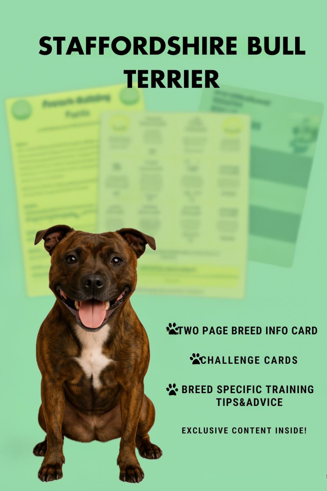 Staffy Breed Guide: Enrichment, Training Tips & Challenge Cards ...