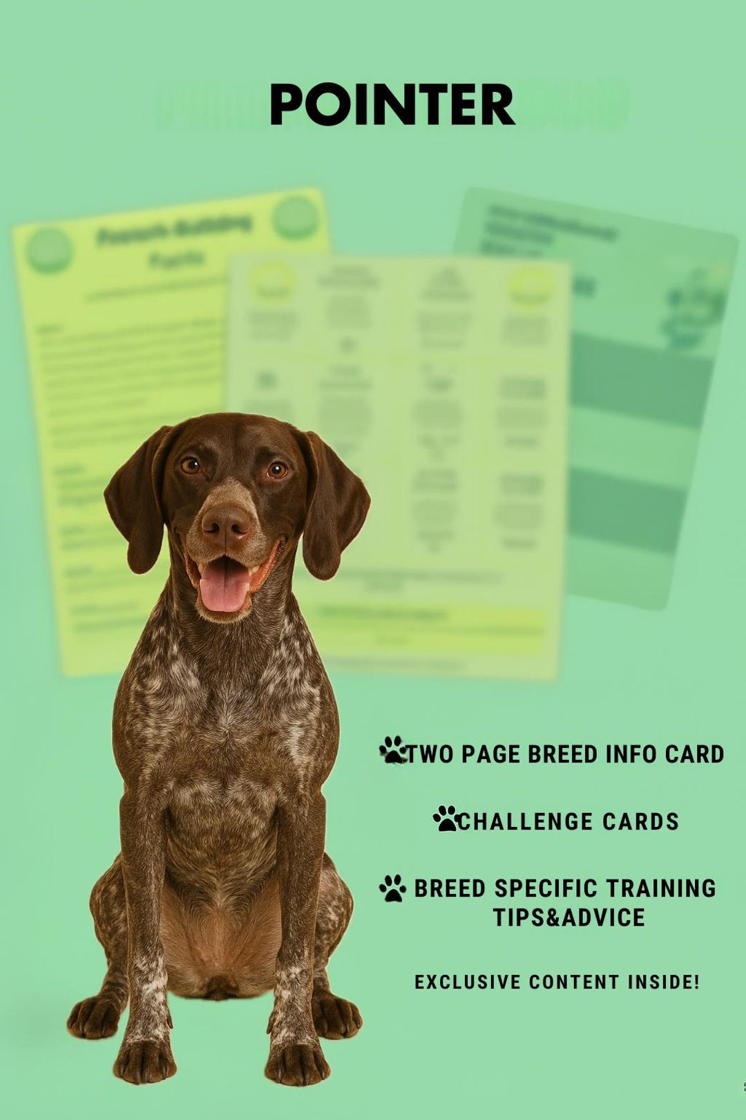 Pointer Breed Training & Enrichment Guide: Behavior Tips, Challenge ...