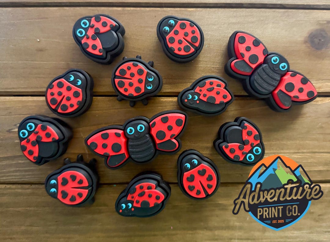 Ladybug Clicker Fidget, Fidget Clicker - Etsy