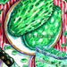 Los Nopalitos Original Art and Giclee Prints by Karina Gomez Mexican ...