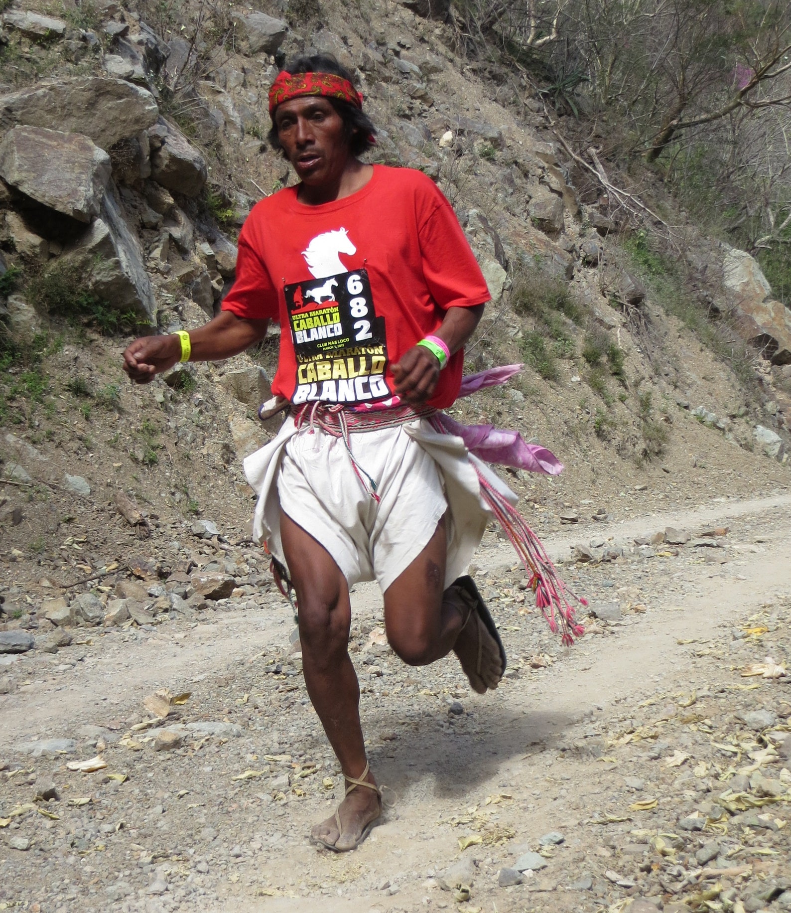 Tarahumara Y Viento"original Painting & Prints by Karina Gomez-mexican ...