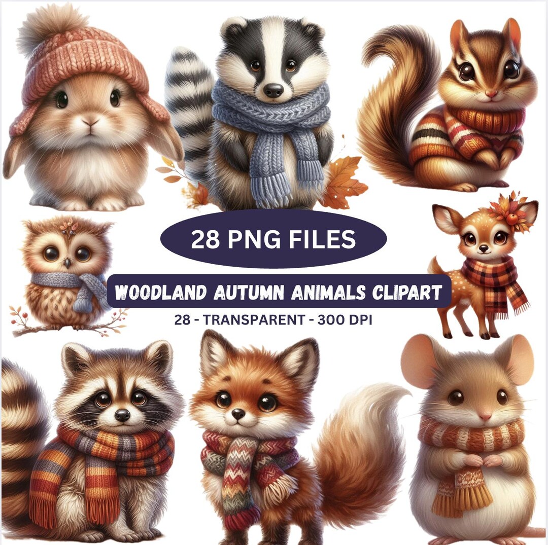 Cozy Woodland Critters Clipart Pngs – Cute Autumn Forest Animal Bundle ...