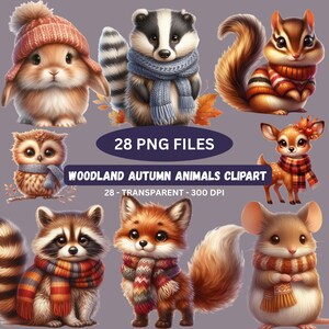 28 Fall Woodland Critters Clipart Set – 300 DPI – Cute Autumn Forest ...