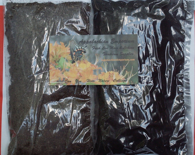 50/50 Bio Mix Ultra Soil Amendment and Charcoal for Terrariums Live ...