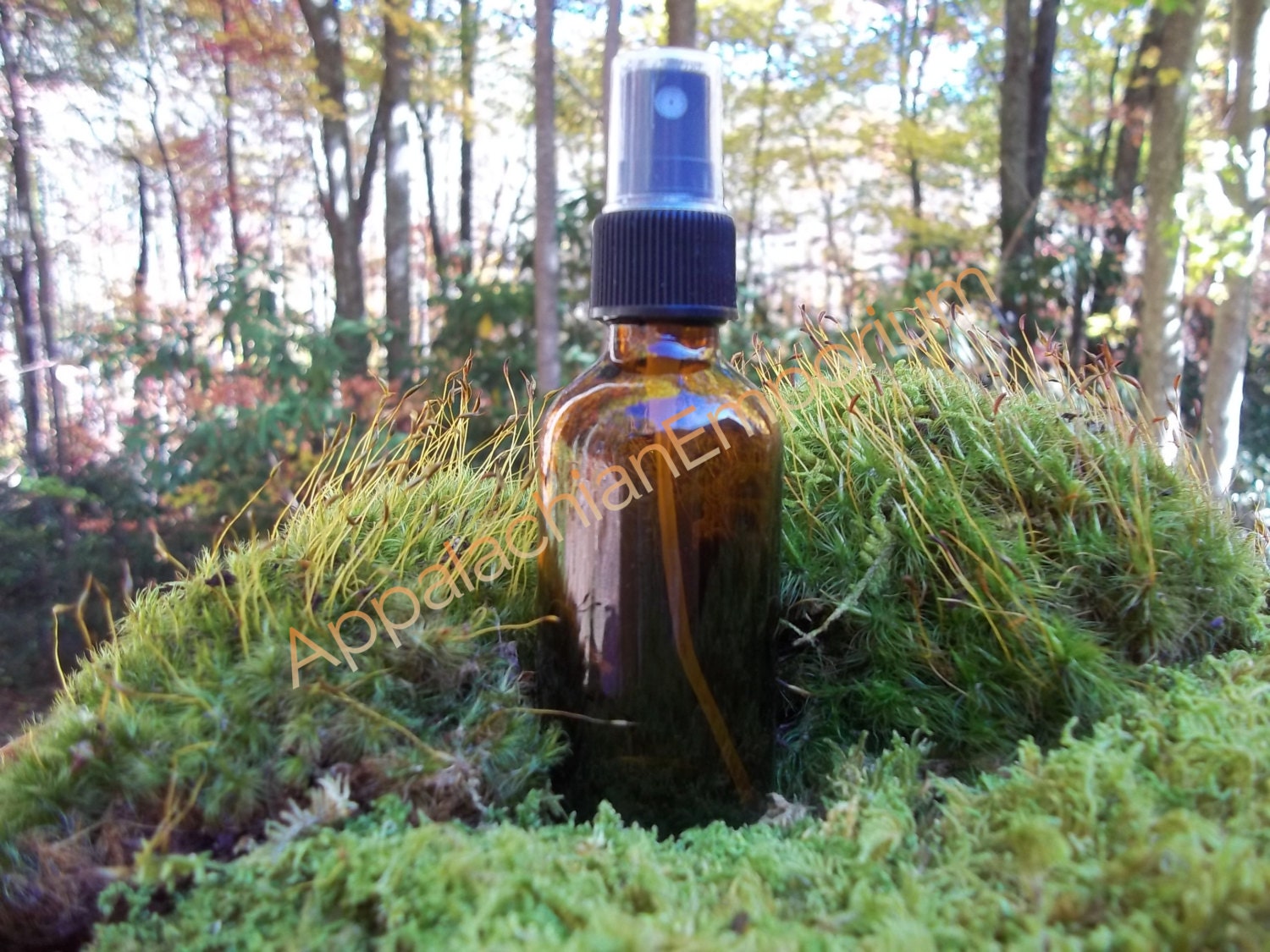 Desktop Terrarium Sprayer Amber Glass Water Bottle Spritzer Mini Garden ...