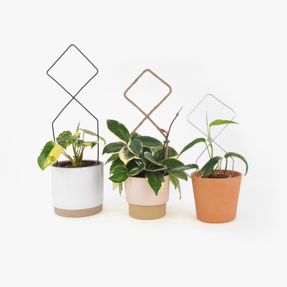 Gardening & Plants Plant Accessories Home & Hobby House plant hoop ...