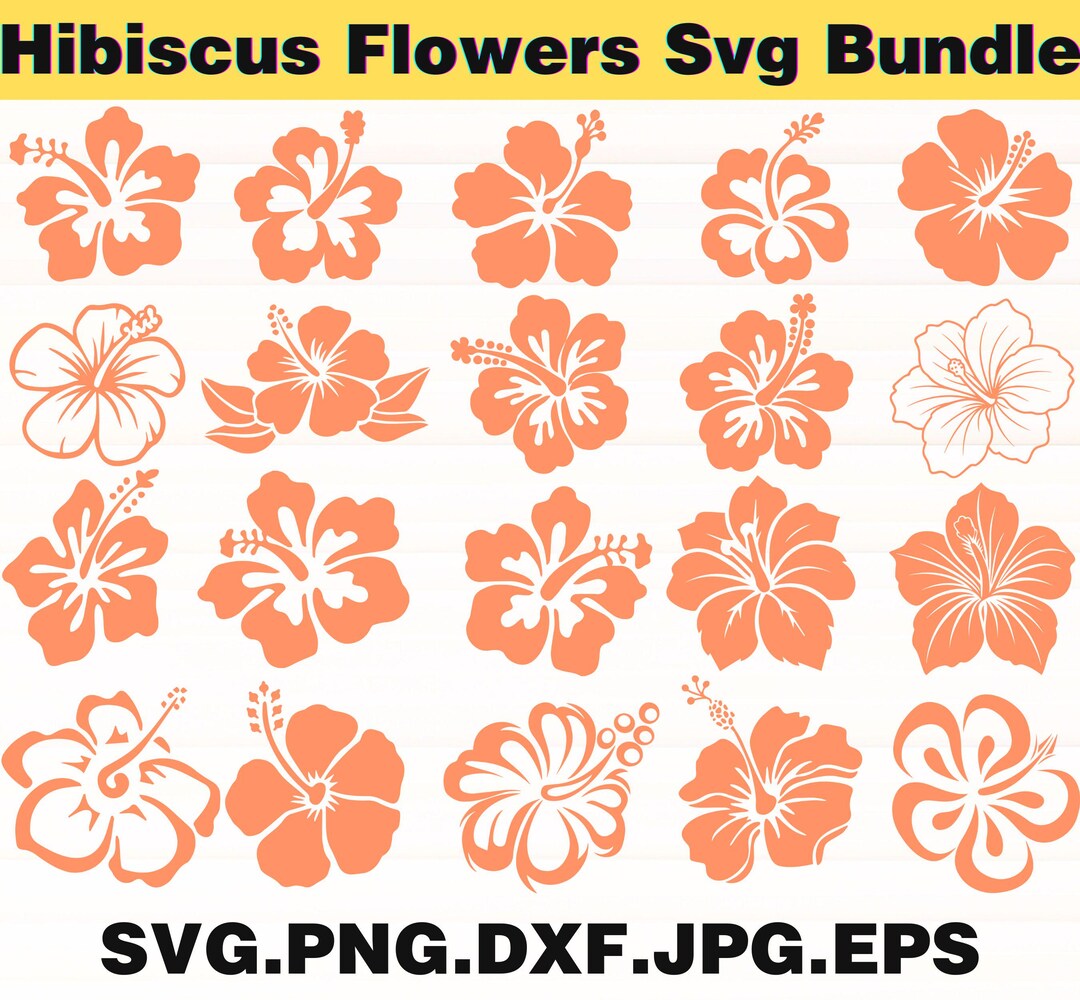 Hibiscus Flowers Svg Bundle, Hibiscus Svg Png, Hawaiian Flower Svg ...