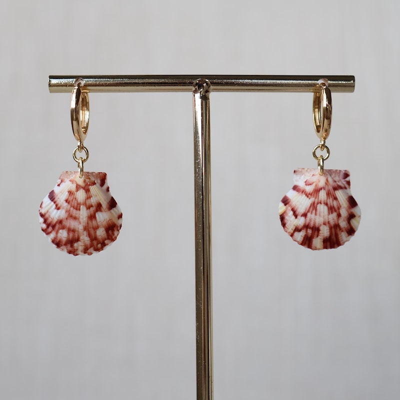 Florida Shell Hoops - Etsy