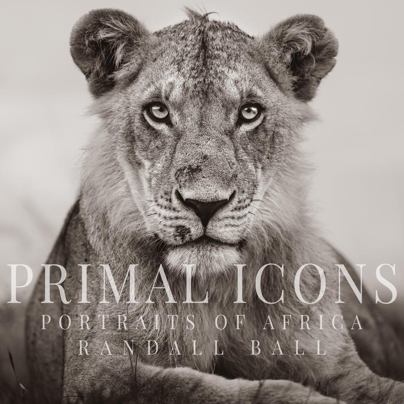 Africa Wildlife Icon - Etsy