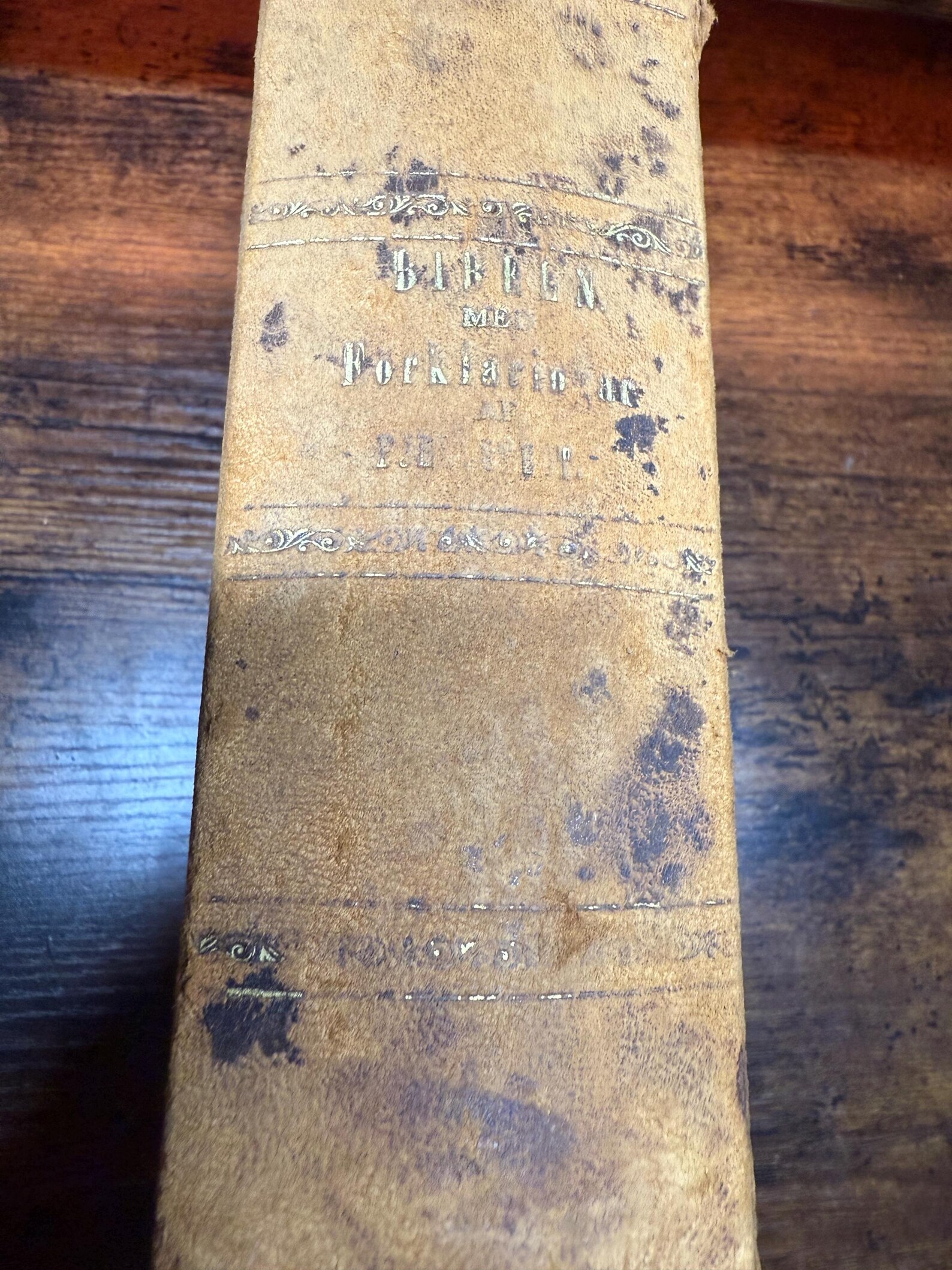 Antique 1890 Swedish Bible, From the Shadow Shaman’s Personal ...