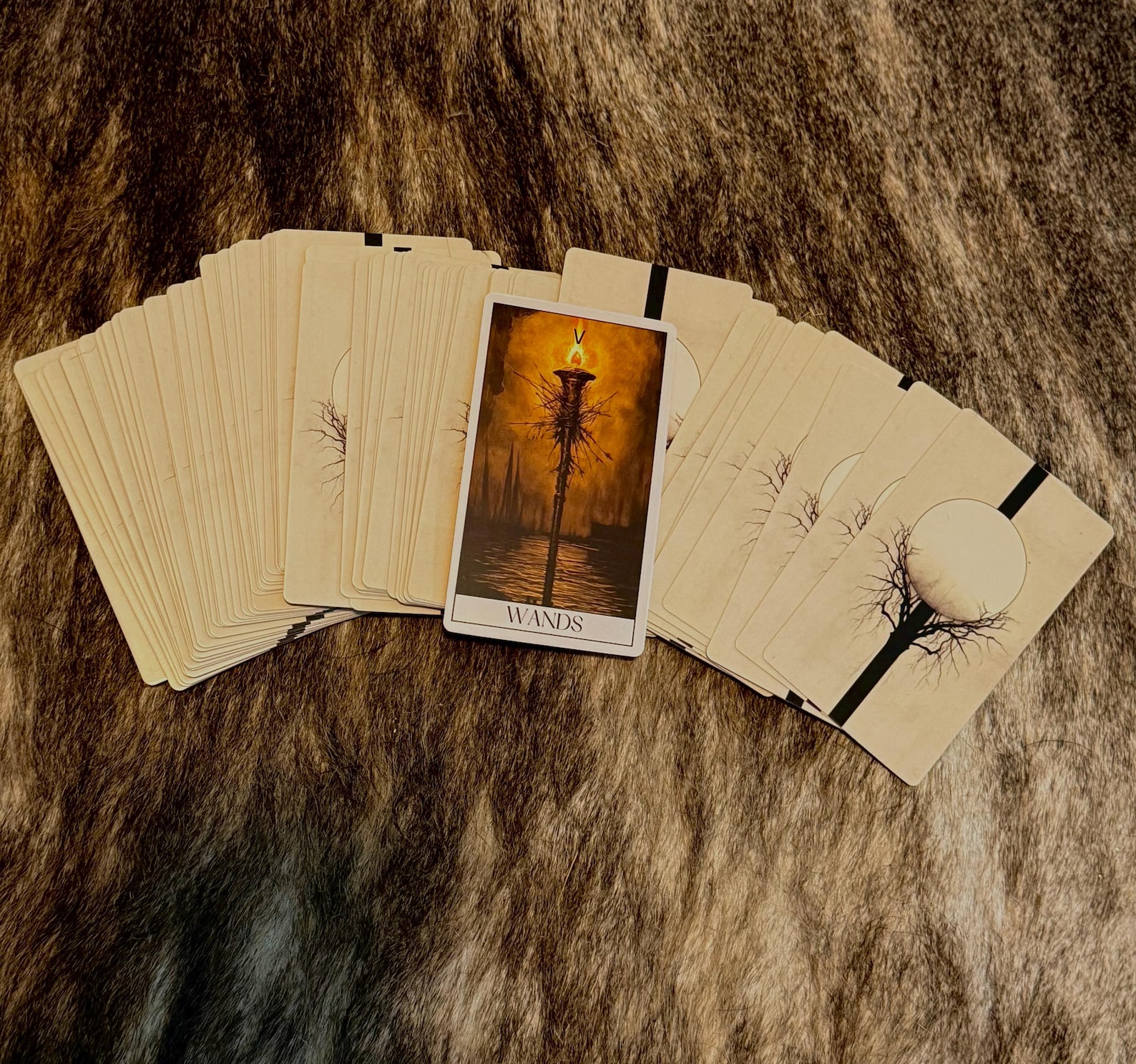 Dark Gothic Tarot Deck – Horror Divination, Shadow Work (72-card Mini ...