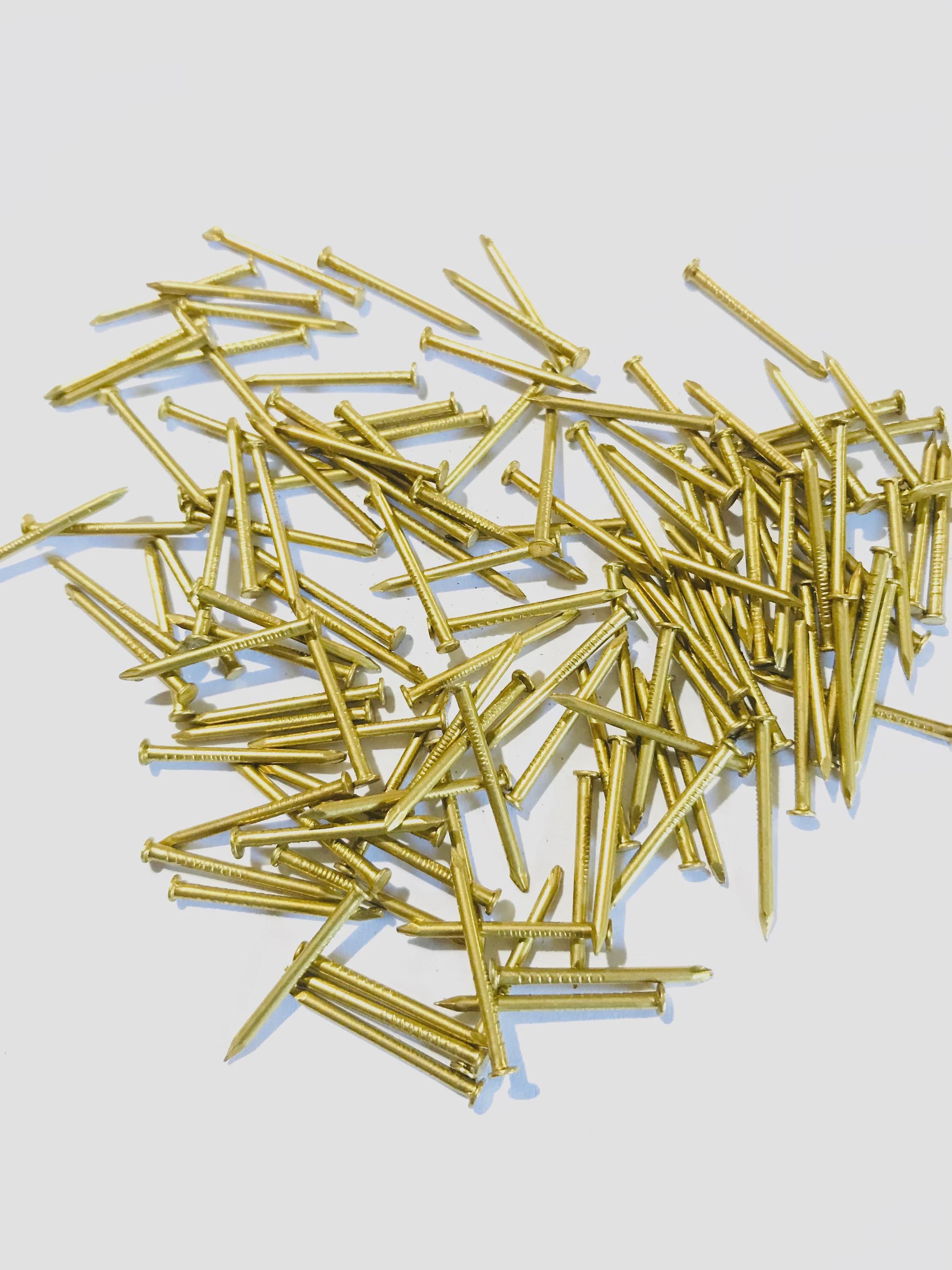 20mm 25mm 31mm Escutcheon Pins Solid Brass Panel Pins Tiny Brass Tacks ...