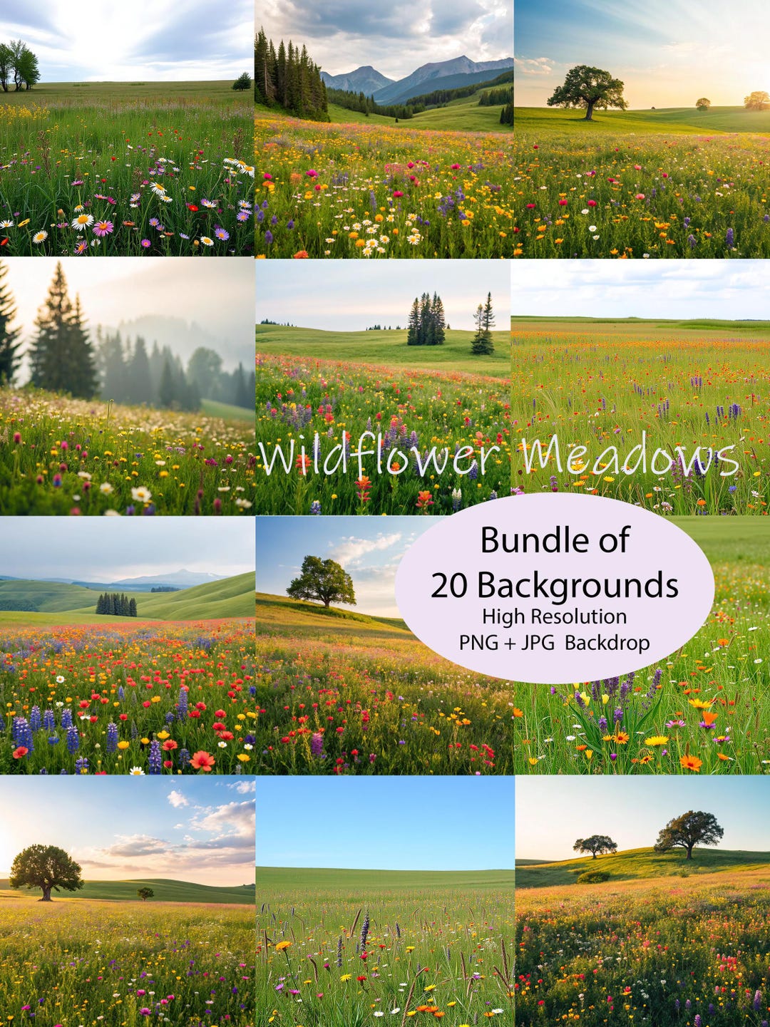 Backdrops, Meadow Backgrounds - Digital Background for Photos, Products ...